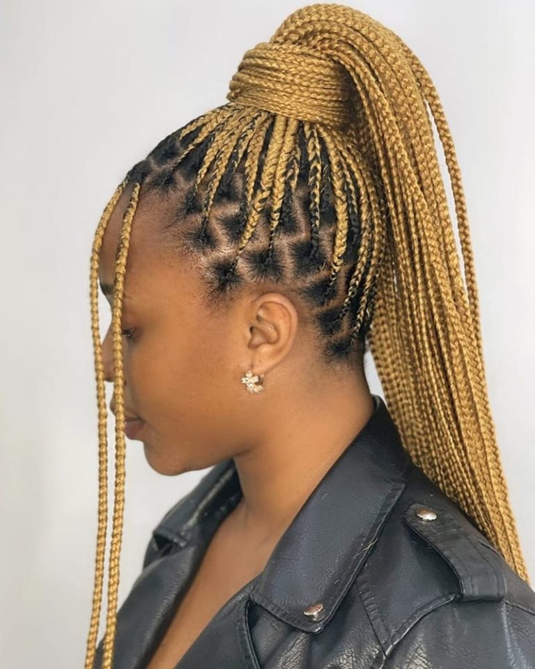 Lightweight Knotless Braids Ideas: Styles, Tutorials, Care - Curly Craze