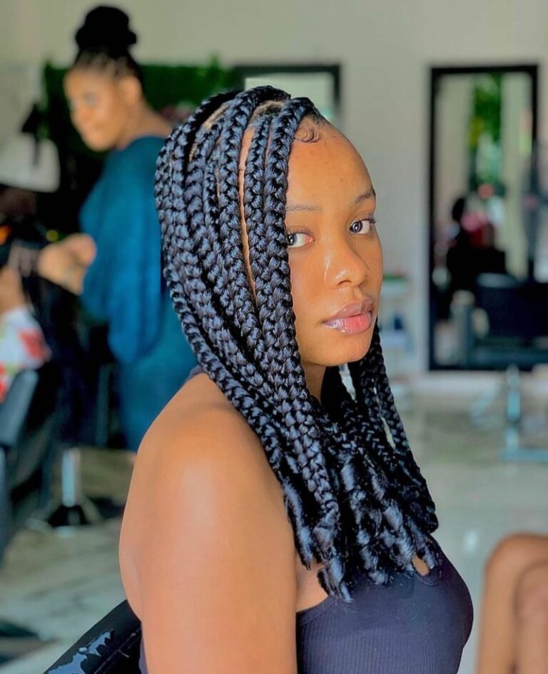 120+ Big Box Braids Ideas: Protective Styles, Colors & Care - Curly Craze