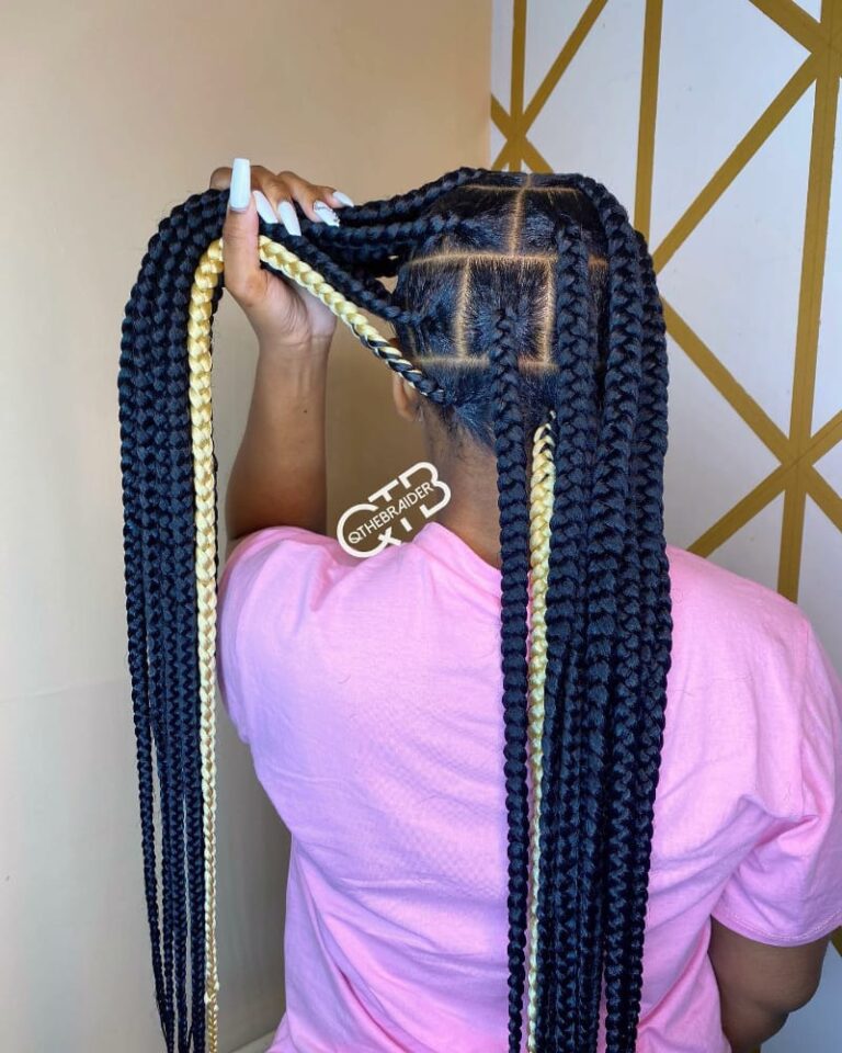 120+ Big Box Braids Ideas: Protective Styles, Colors & Care - Curly Craze
