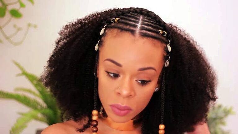 60+ Luxurious Fulani Braids Ideas to Manipulate the Hair Game - Curly Craze