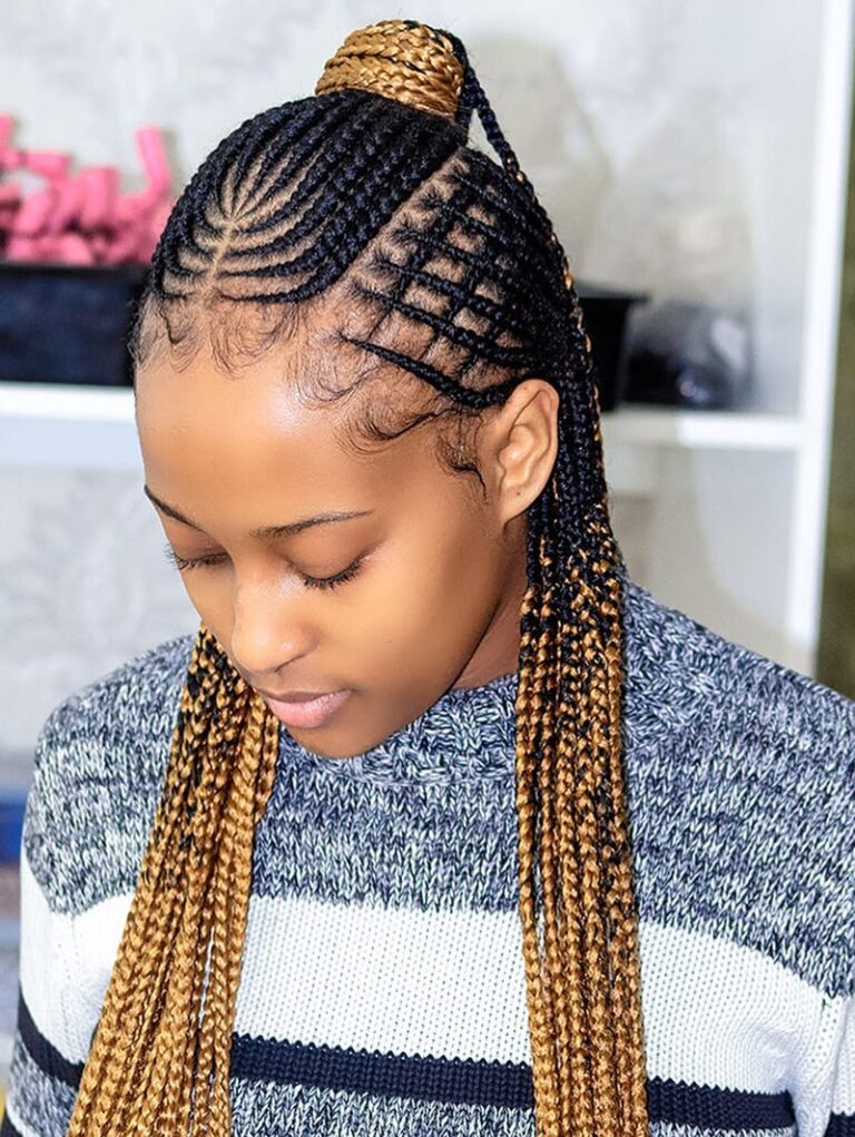 60+ Luxurious Fulani Braids Ideas to Manipulate the Hair Game - Curly Craze