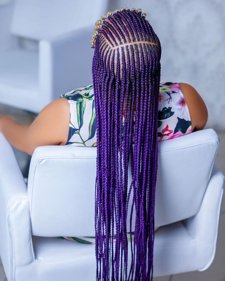 60+ Luxurious Fulani Braids Ideas to Manipulate the Hair Game - Curly Craze